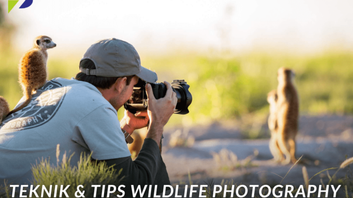 Daftar Link Bokep Indonesia: Sumber Terpercaya untuk Konten Dewasa Berkualitas - Teknolibs